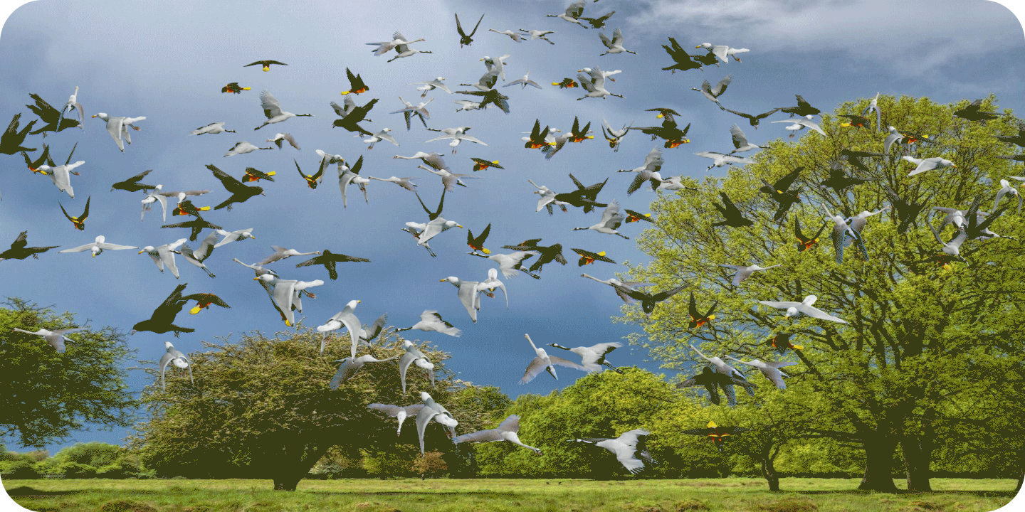 Procedural Birds Flocks - Blender Market