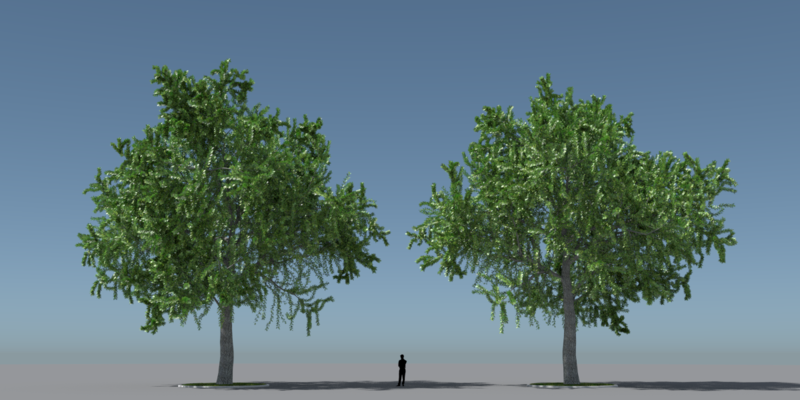 Tree Oak V1 - Blender Market