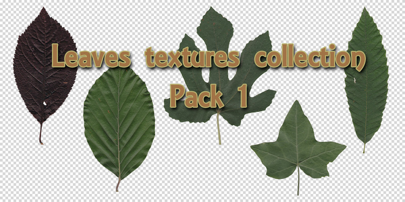 Leaves textures collection Pack 1 - Blender Market
