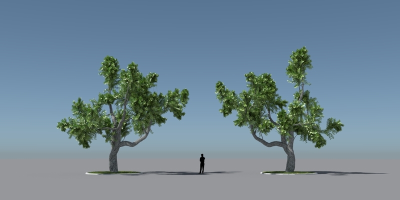 Tree Oak V2 - Blender Market