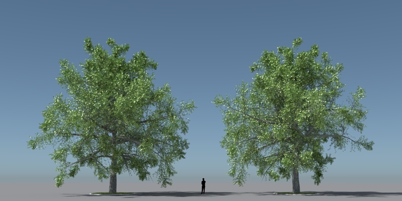 Tree Oak V4 - Blender Market