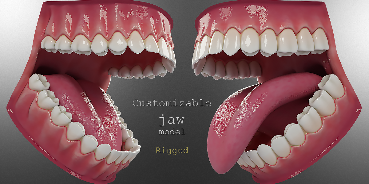 Jaw with teeth and tongue base mesh generator - Blender Market