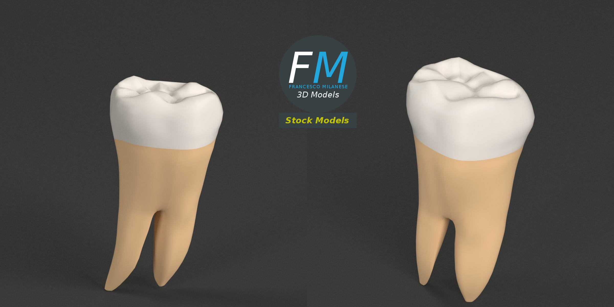 Stylized human first molar tooth - Blender Market