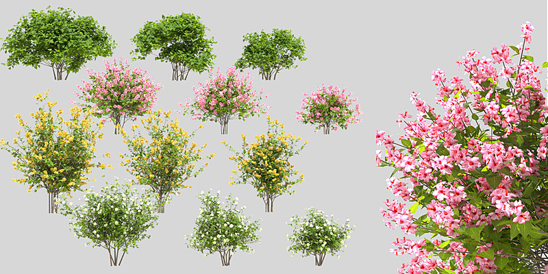 Bush - Set flowering shrubs (12 bushes ) - Blender Market
