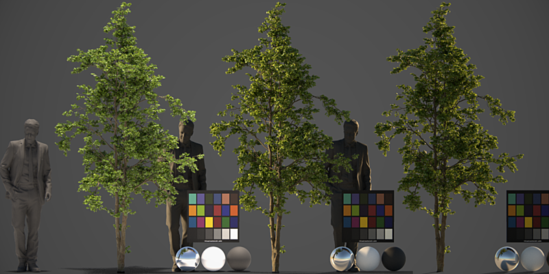Eevee and Cycles tree - Blender Market