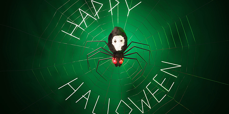 Creating an Animated Spooky Spider in Blender 2.9 - Blender Market