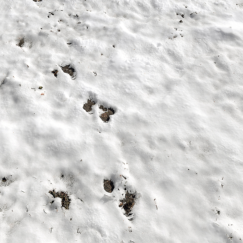 Ultra realistic Snow ground Scan - Blender Market