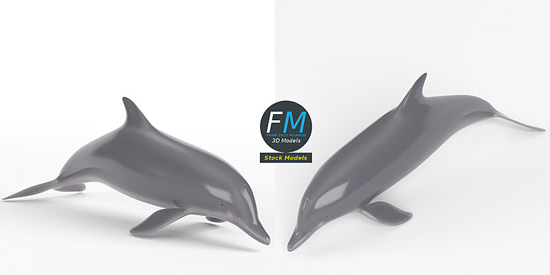 Stylized dolphin - Blender Market