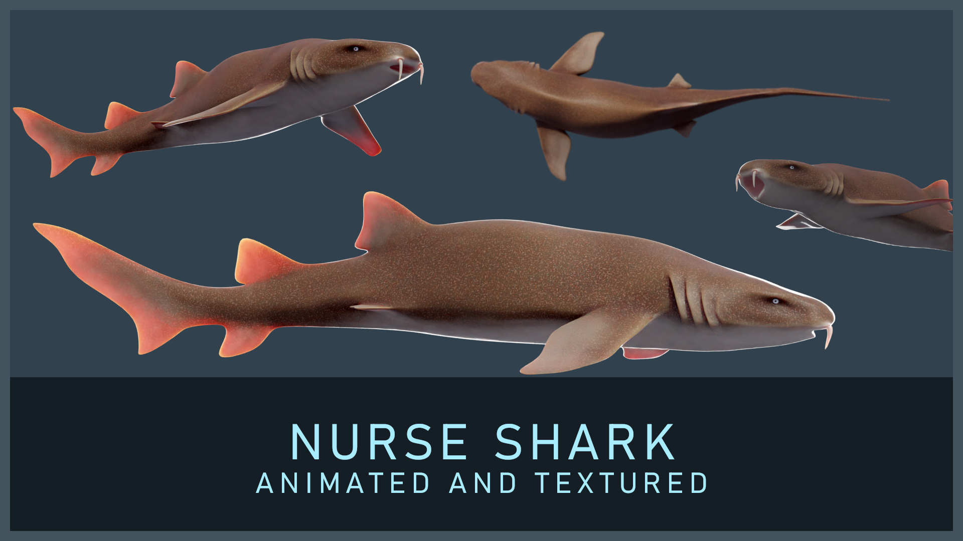 Animated Nurse Shark - Blender Market