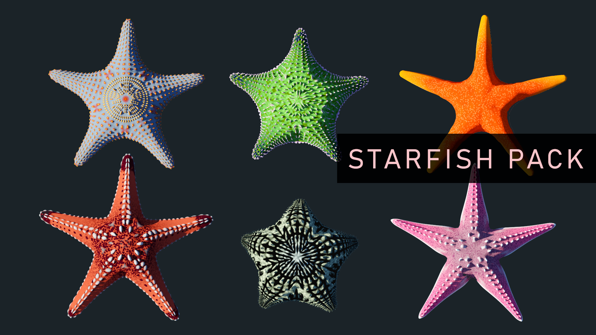 Starfish Variety Pack 3 - Blender Market