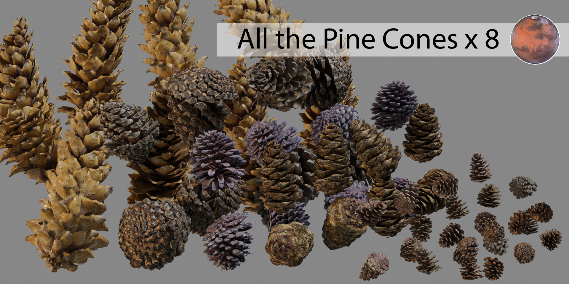 Types Of Pinecones