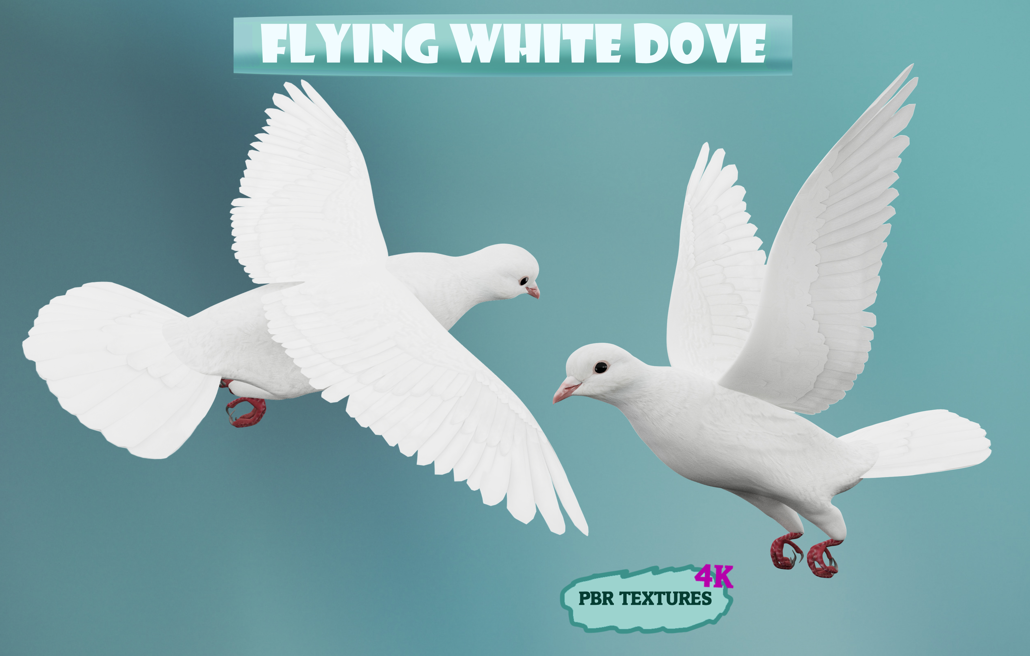 Realistic Flying White Dove - Loop Flight Animations - Blender Market