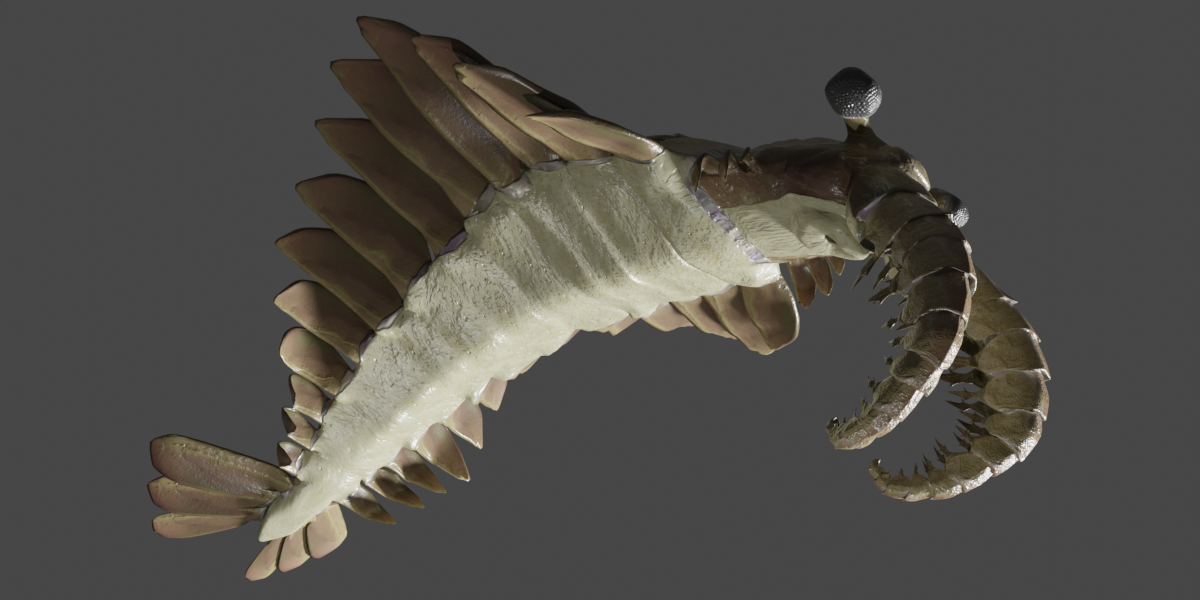 Anomalocaris - Blender Market
