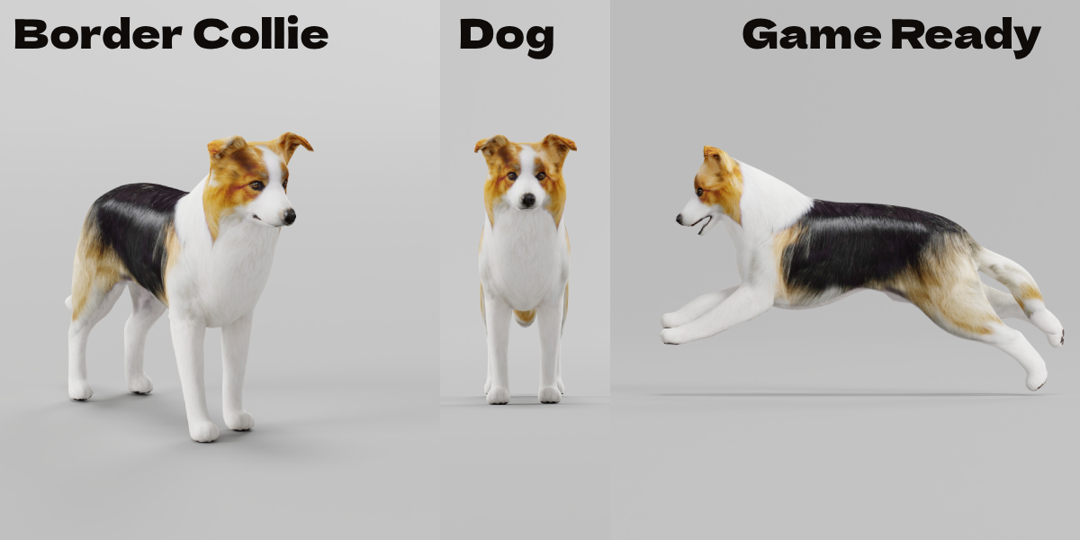 Border Collie Dog - Blender Market