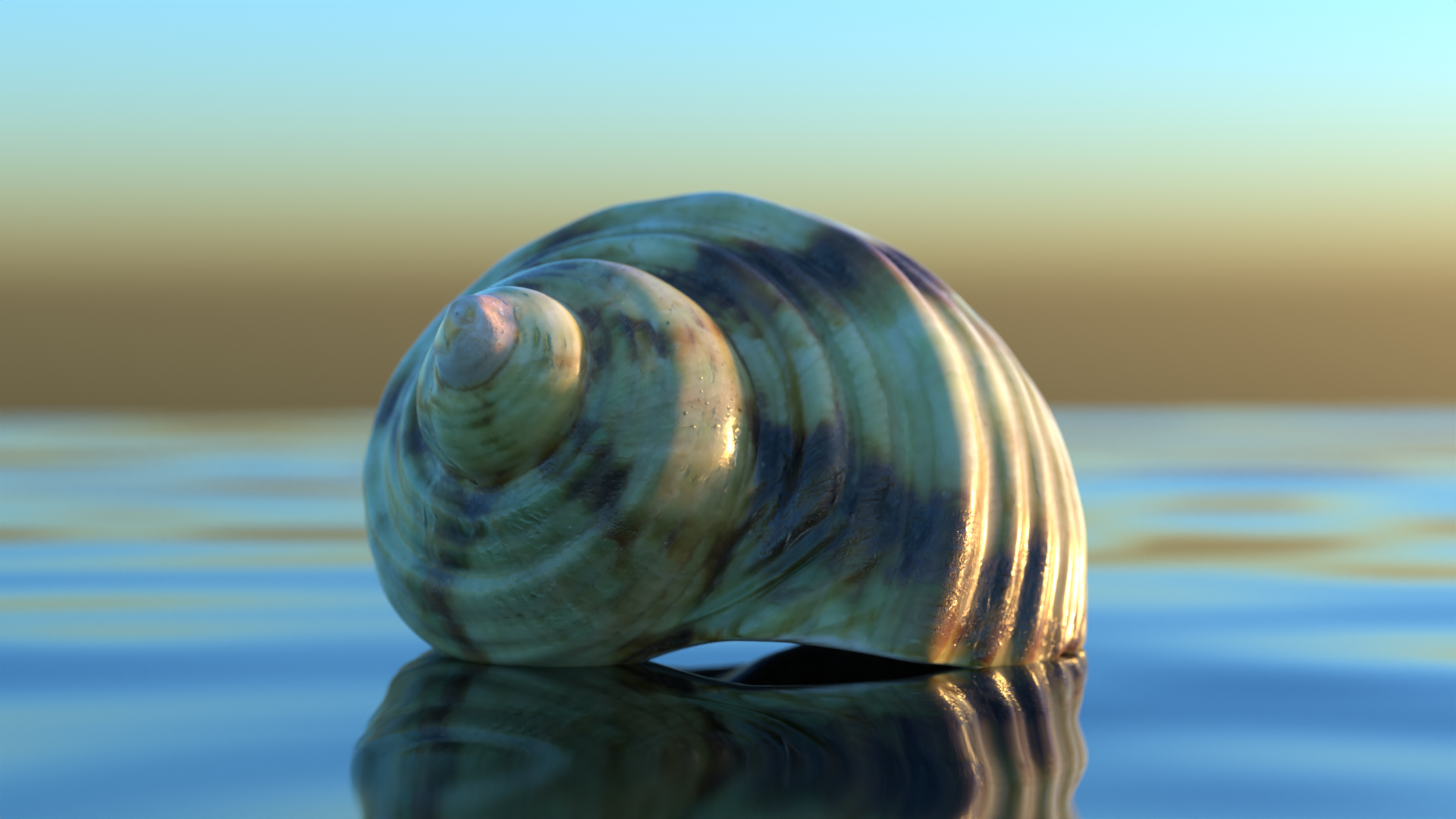 Green Seashell - High Quality Scan - 4K PBR Textures - Blender Market