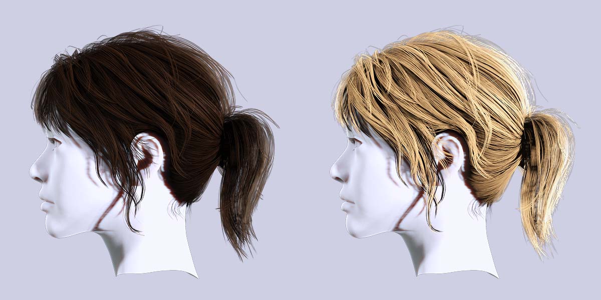 Female Ponytail Hairstyle - Blender Market
