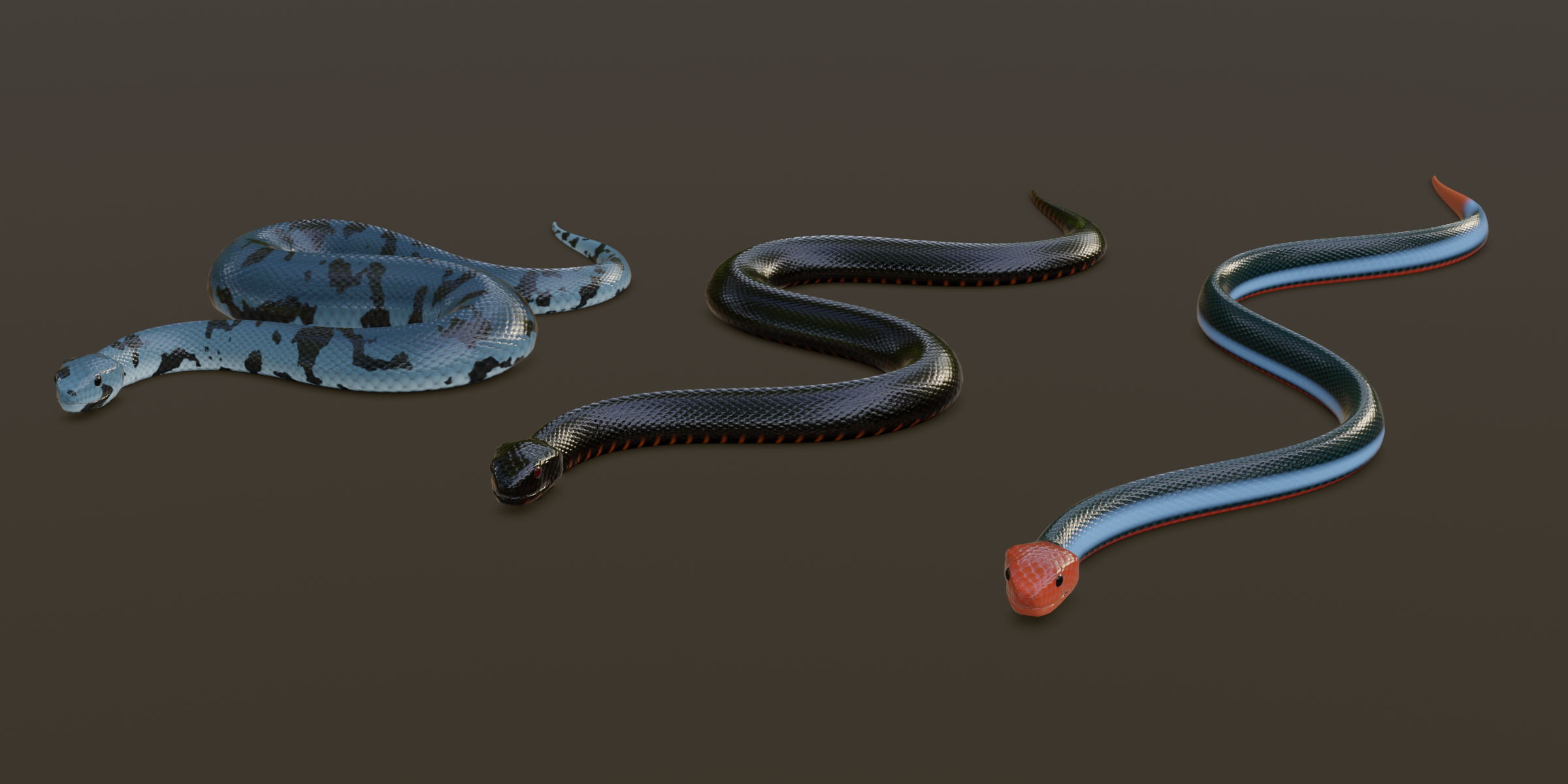 Animated snakes pack - Blender Market