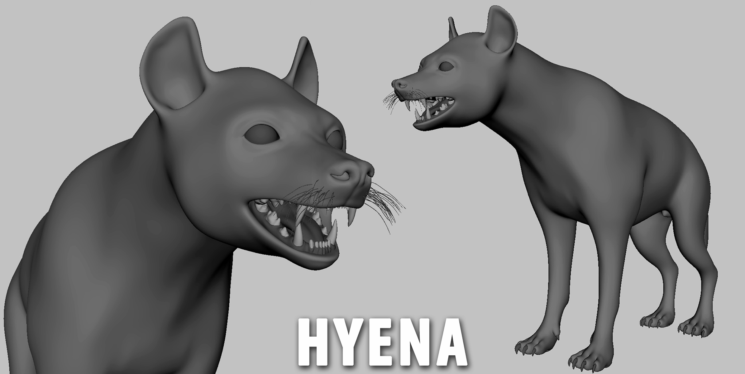 Hyena - Topology + Uv Map - Blender Market