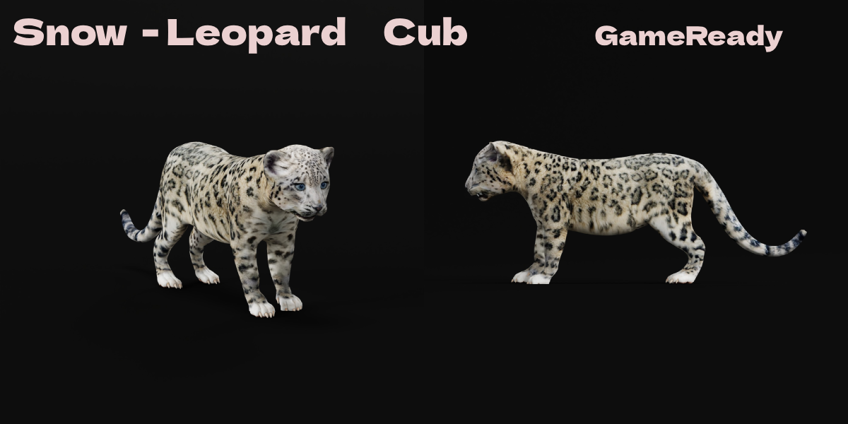 Snow Leopard Cub - Blender Market