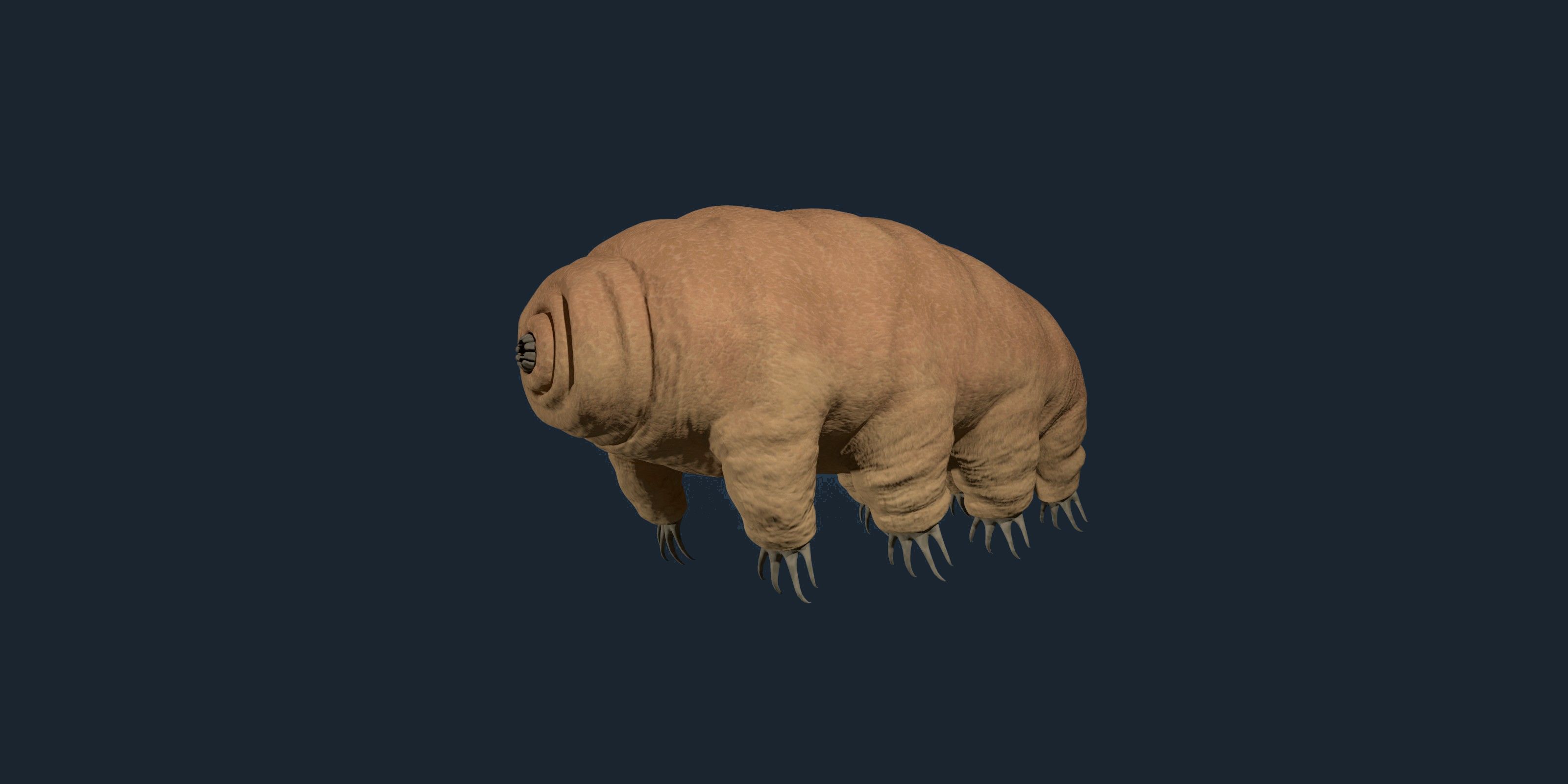 Tardigrade - Blender Market