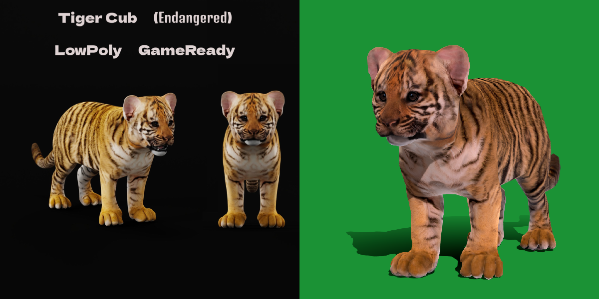Baby Tiger Cub - Blender Market