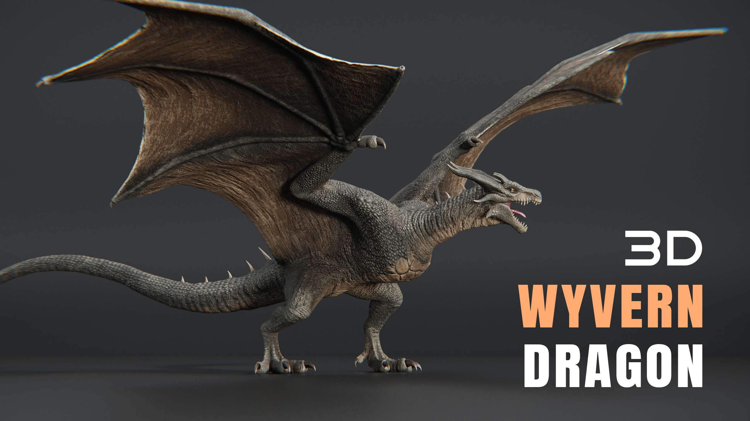 Dragon Wyvern - Blender Market