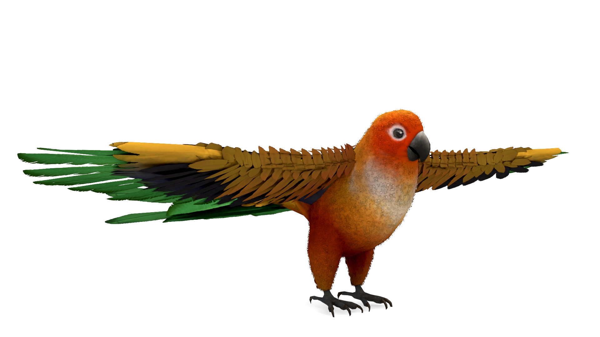 Flame Macaw Rigged 3D Model - Blender Market