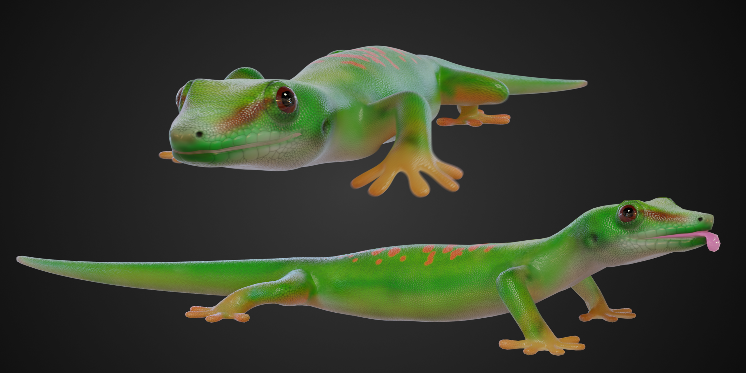 Animated Gecko - Blender Market