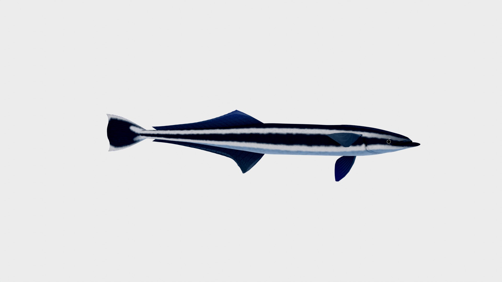 Blue Shark Fish Low Poly 3D Model - Blender Market