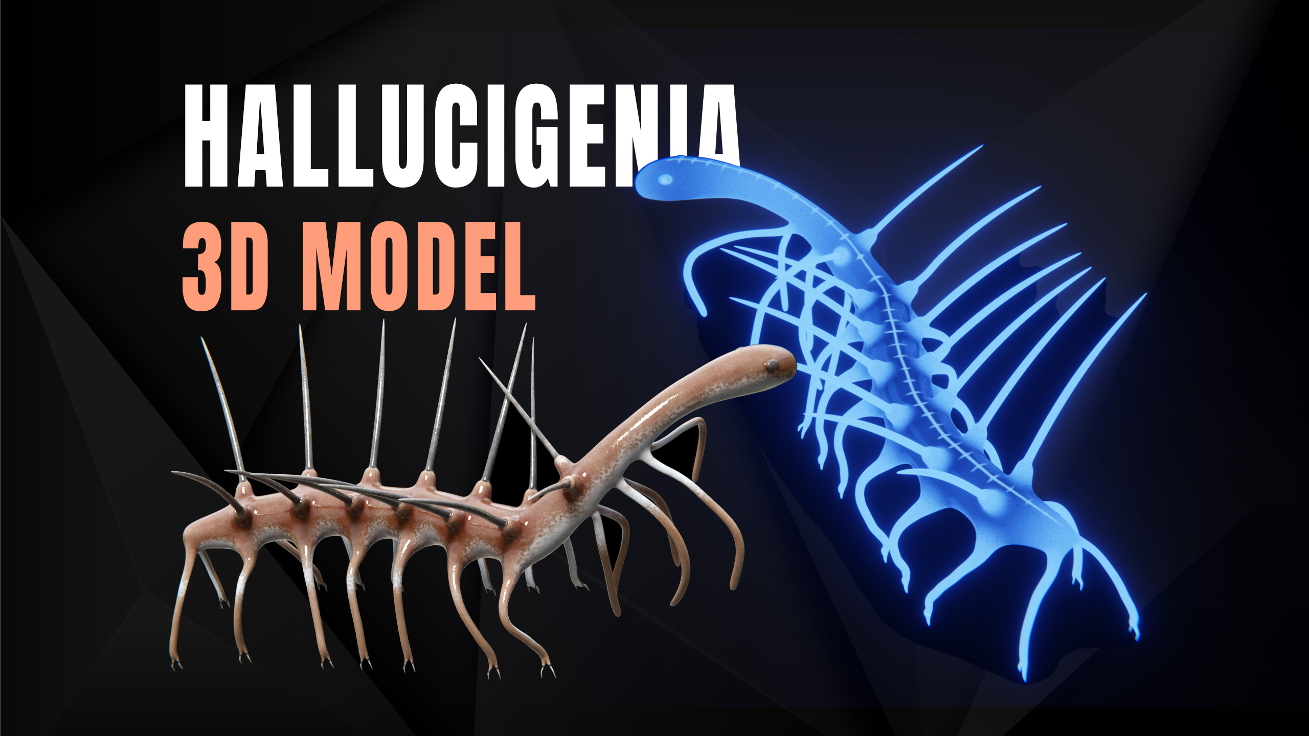 Hallucigenia - Blender Market