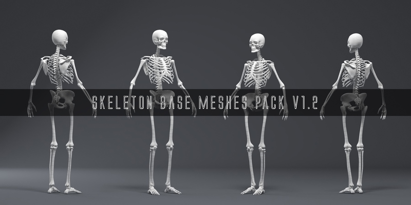 Skeleton Base Meshes Pack [2014] - Blender Market