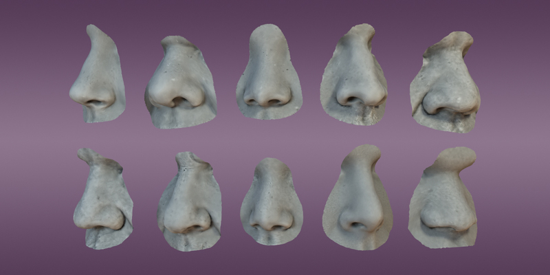 Realistic Human Noses, Set of 10 - Blender Market