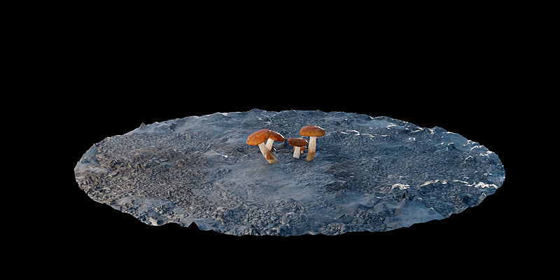 Nature Assets - Blender Market