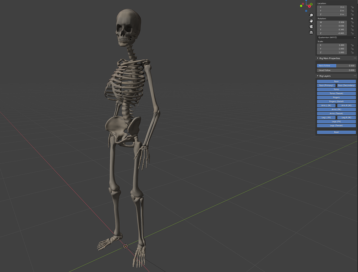 Anatomically based human skeleton XMS - Blender Market