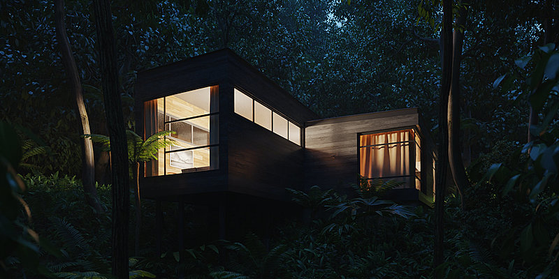 Emergent Layer Animals