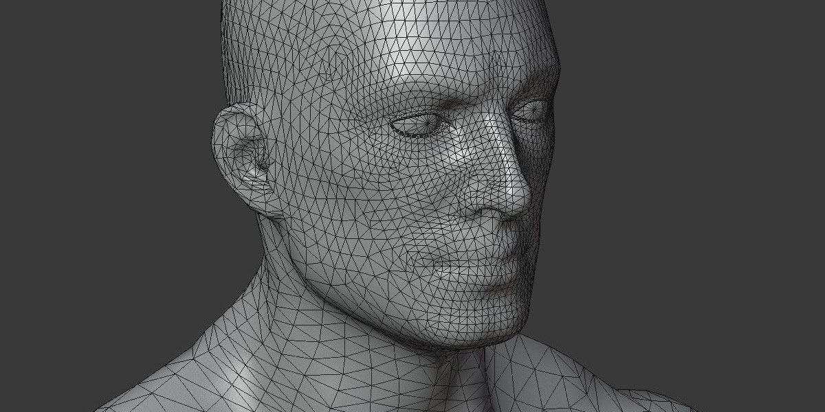 Human Body Base Mesh 10 3D Models Pack 20k Polygons - Blender Market
