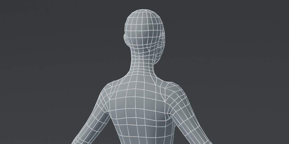 Male and Female Body Base Mesh 3D Model - Blender Market