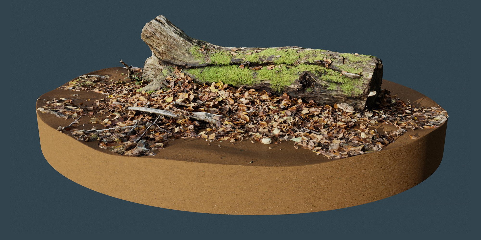 Tree log photoscan - Blender Market
