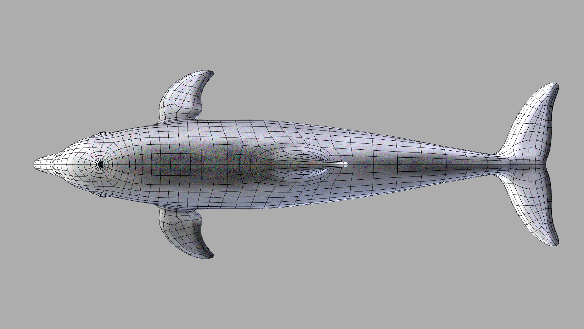 Dolphins 3d model - laderada