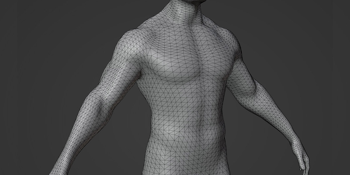 Male Body Base Mesh Animated and Rigged 3D Model 10k Polygons - Blender ...