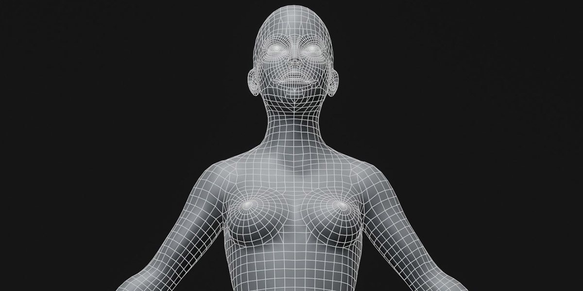 Female Body Base Mesh Animated and Rigged 3D Model 10k Polygons ...