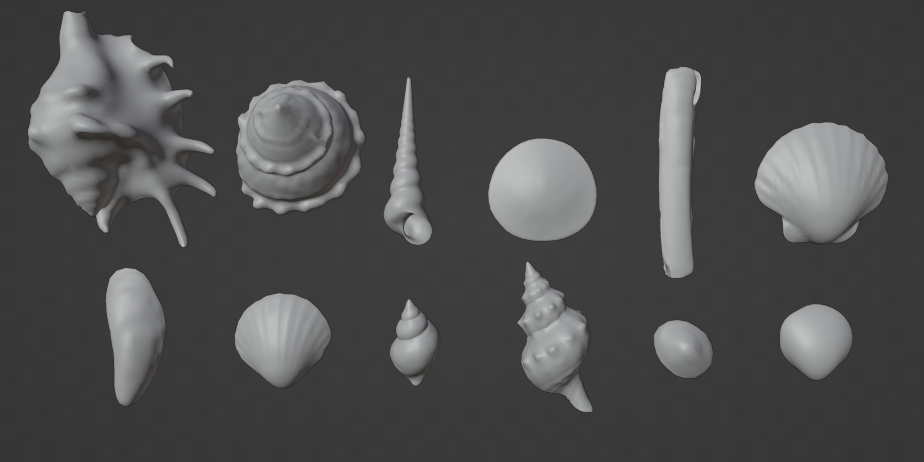 Seashells - Photorealistic Collection - Blender Market