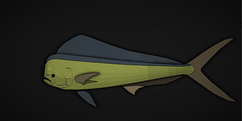 low poly animation fish pack - Blender Market