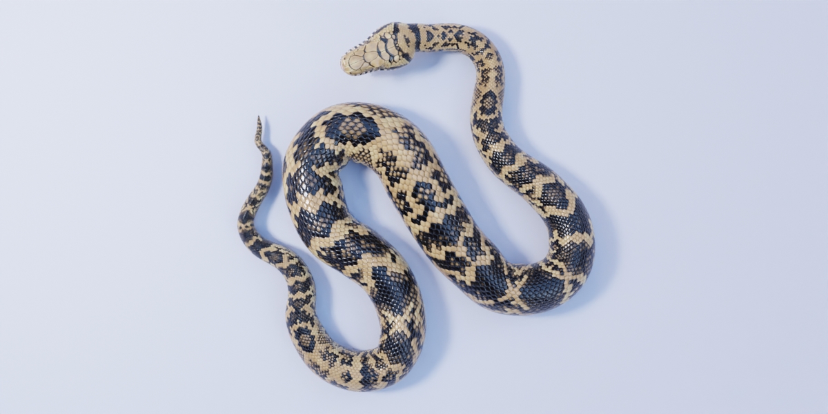 Scrub Python - Animated - Blender Market