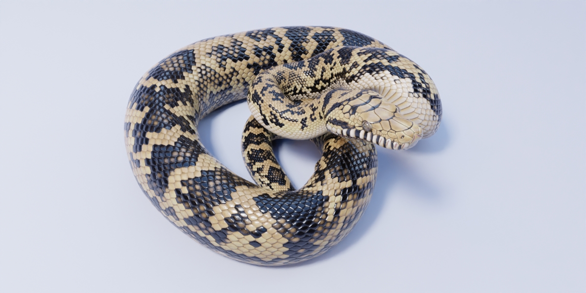 Scrub Python - Animated - Blender Market