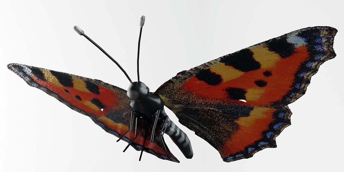 Butterflies Collection - 24 Rigged Low-Poly Butterfly Models - Blender ...