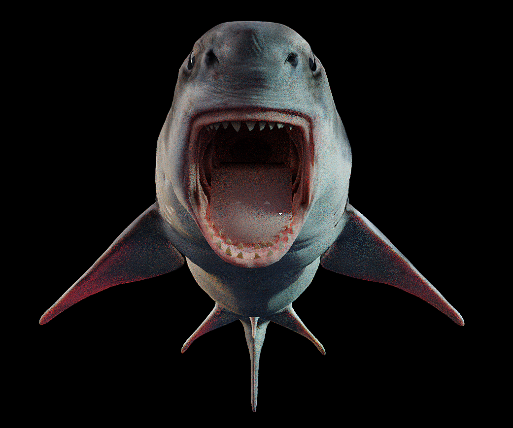 Complete Realistic Shark Model The Great White Shark Rigged Textured Easy To Animate complete-realistic-shark-model-the-great-white-shark-rigged-textured-easy-to-animate