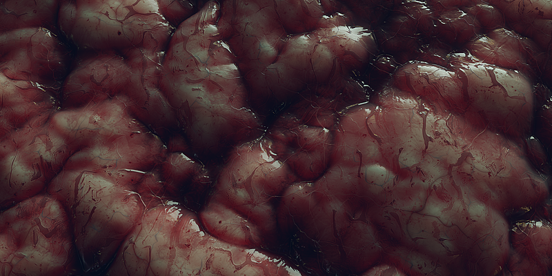 Texture Bloody Guts - Blender Market