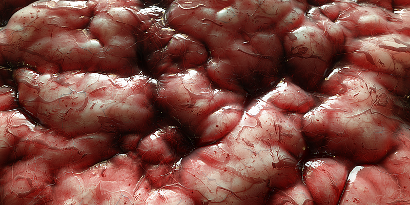 Texture Bloody Guts - Blender Market