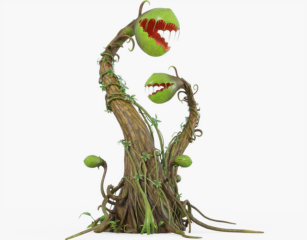 Venus Flytrap Animated - Blender Market